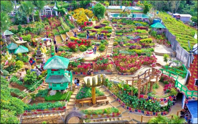 Sirao Garden: Little Amsterdam of Cebu Philippines - Cebu 24|7